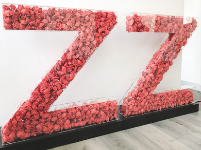 3D Signs and Letters | Custom 3D Logo Signs | Front Signs