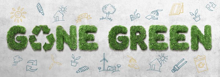 13 Green Marketing Examples and Great Environmental Initiatives | Blog