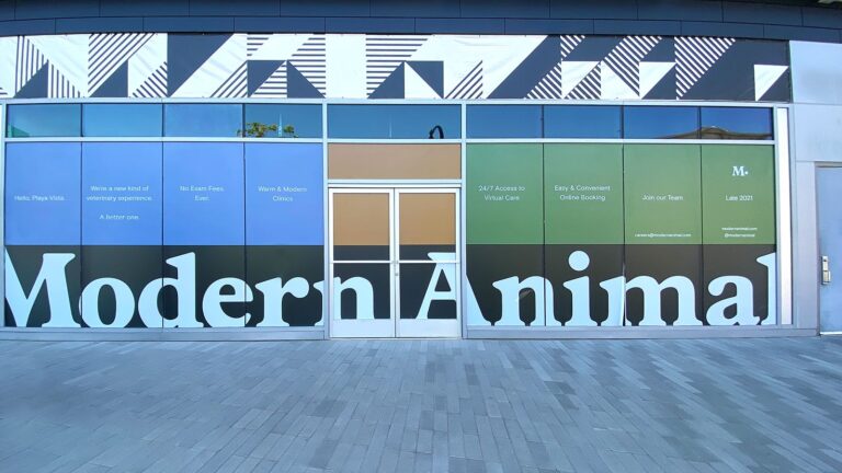 Window Decals | Custom Window Signs | Los Angeles, US-Wide | Front Signs