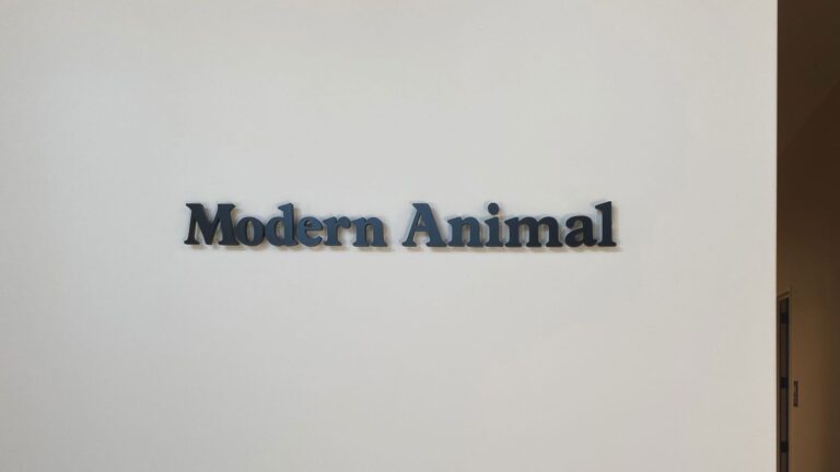 Modern Animal pin-mounted acrylic 3D letters | Front Signs