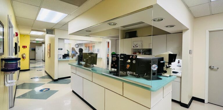 Dazzling Lobby Design Ideas Sure to Please Your Guests | Blog