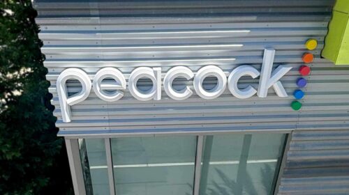 Peacock Large Custom Letter Sign for Branding | Front Signs