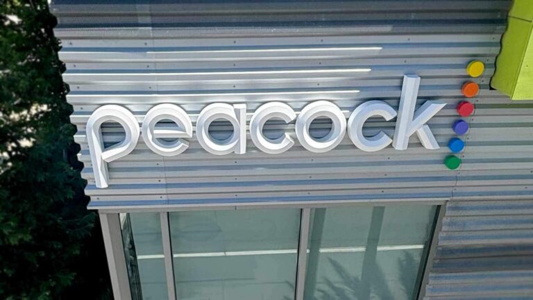 Peacock Large Custom Letter Sign for Branding | Front Signs